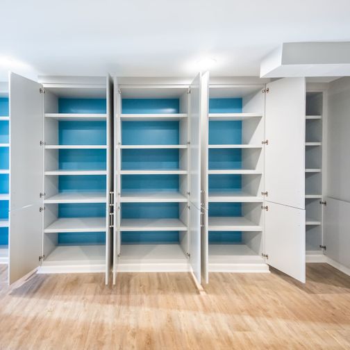 Custom-cabinetry-shelving Built-ins-and-shelving for your basement ...