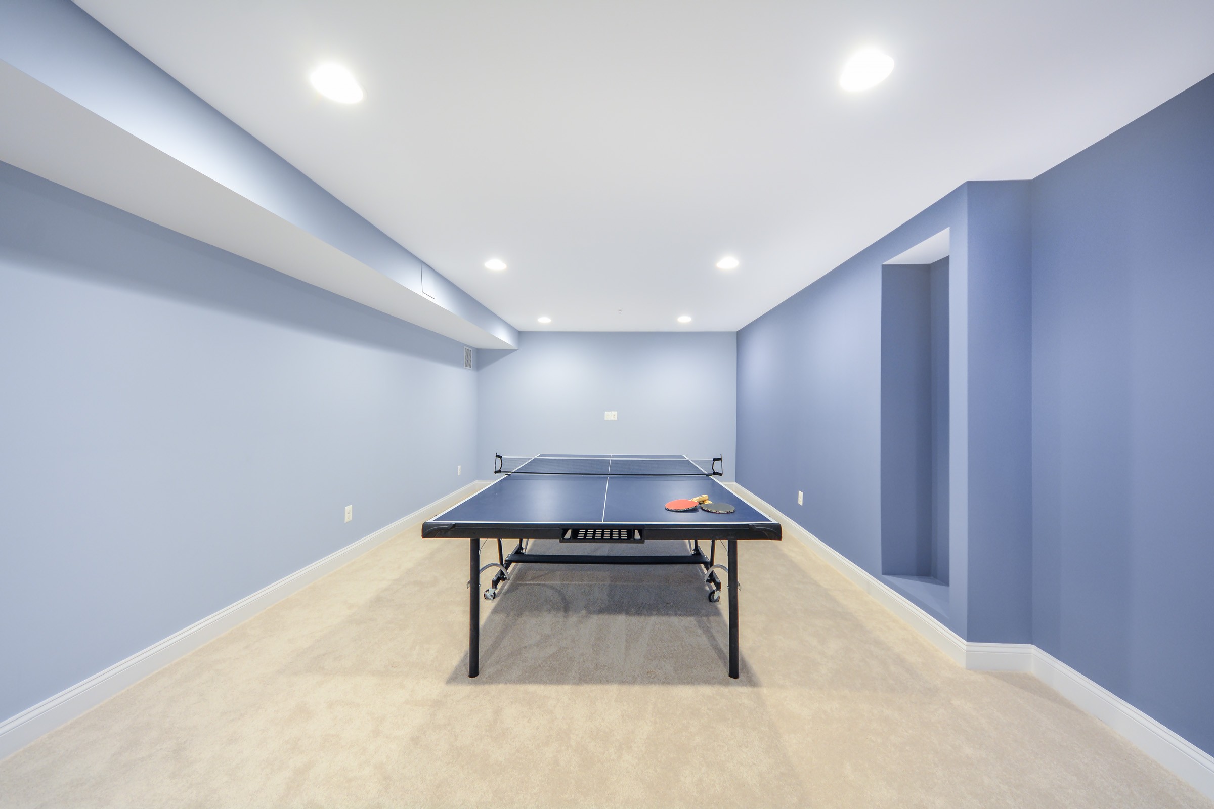 Basement Finishing - Room for Ping Pong, Kitchen and a Half bath